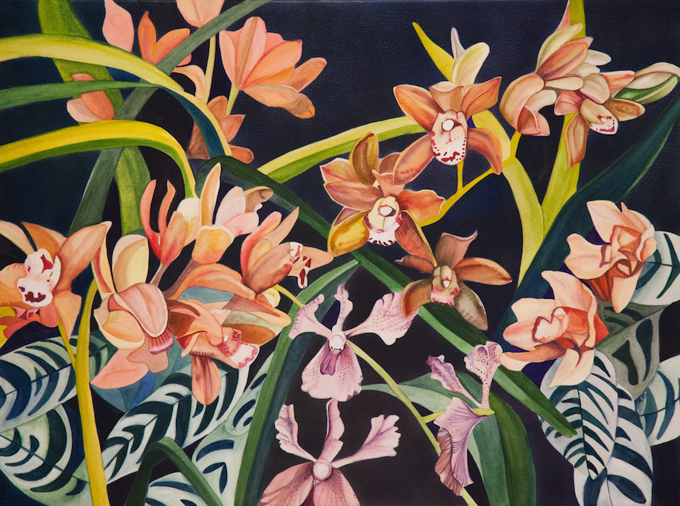 Pamela Atkinson, “Orchids II,” Watercolor, 22″ x 30″, ©2018 – Pamela ...